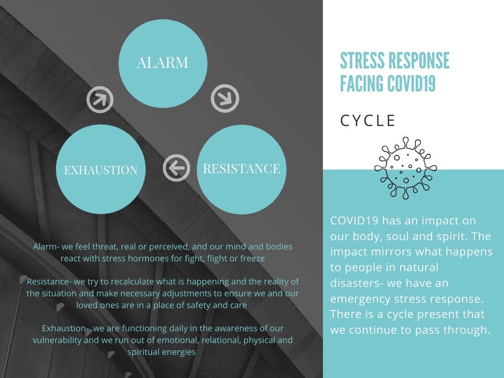 “Understanding Stress Response Cycles and Compassion Fatigue ...